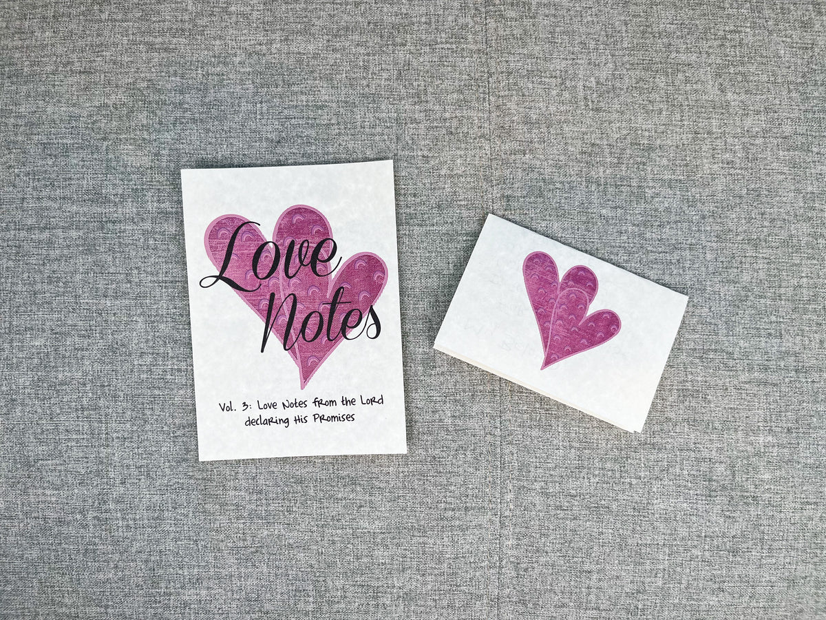 Stack of Love Notes Vol. 3: Love Notes from the Lord declaring His Pro ...